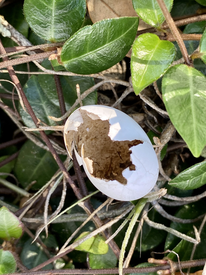 Fly! Be free! | Didyounotice | Blipfoto