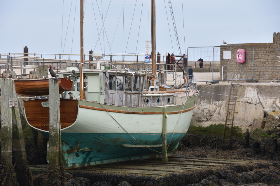 219/365 High & Dry ! | Timmynomates | Blipfoto