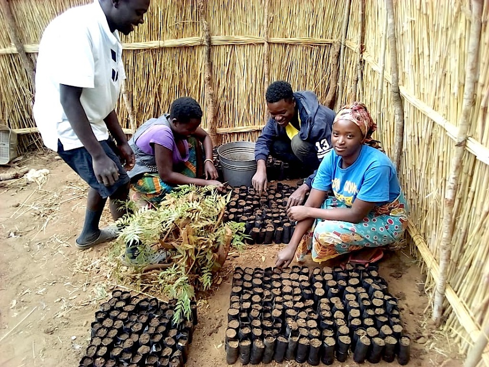 MISUKU INDIGENOUS FOREST REPORT. | wellsforzoe | Blipfoto