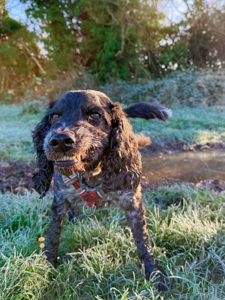 Looking demented… | JaneW | Blipfoto