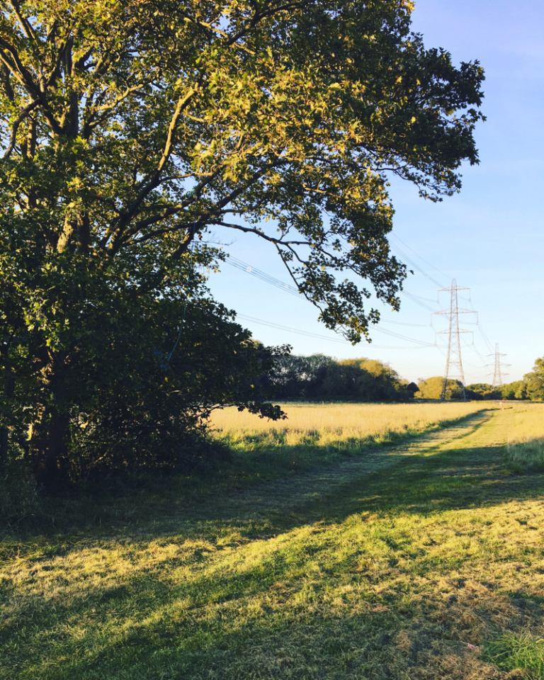 Reacquainting with the... | PhotoIain | Blipfoto