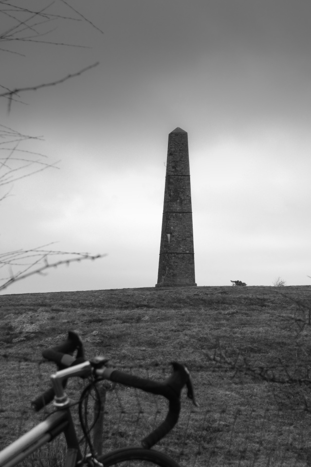 Brightling Needle | gravyc | Blipfoto