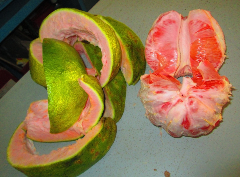 LUKBAN FRUITS (in Philippines) | skyE15 | Blipfoto