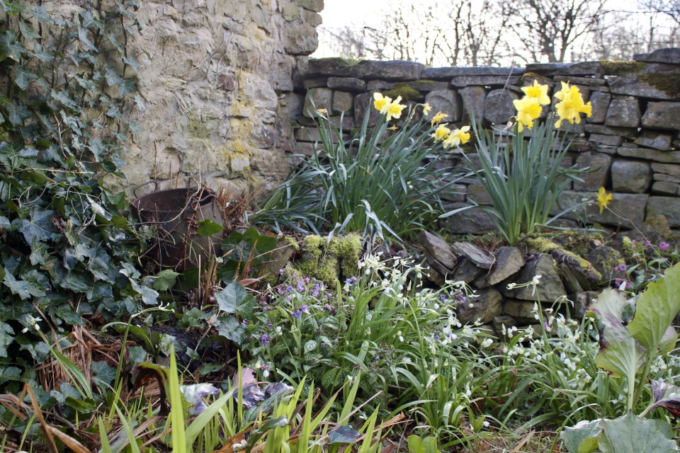 Damp day | Jaybay | Blipfoto