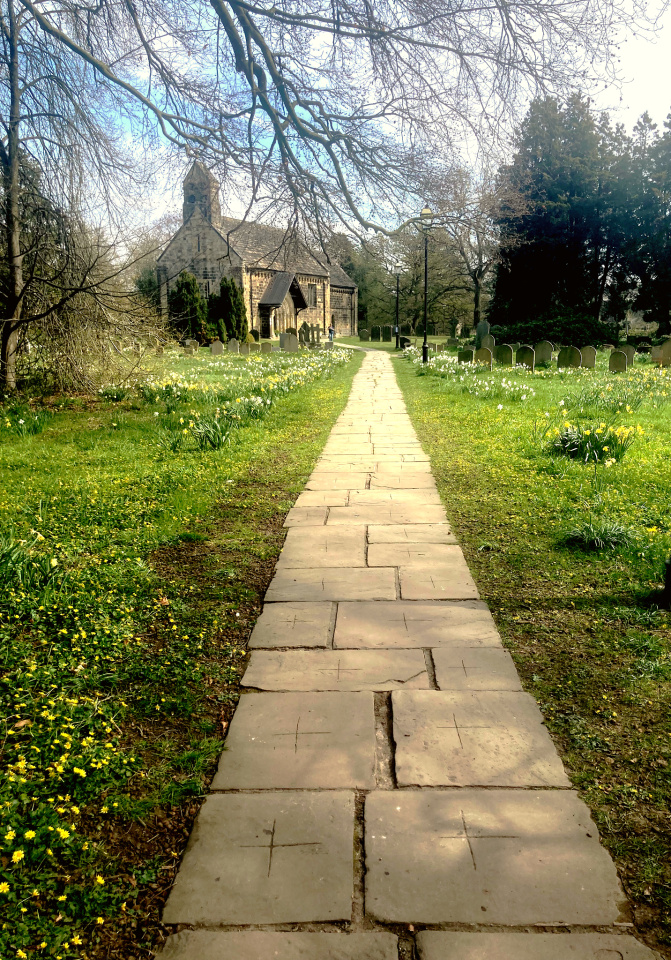 Back at YorkGate | mambo | Blipfoto