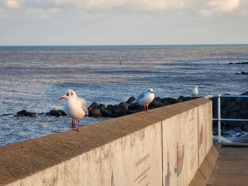 Ready for the off | JohnRH | Blipfoto