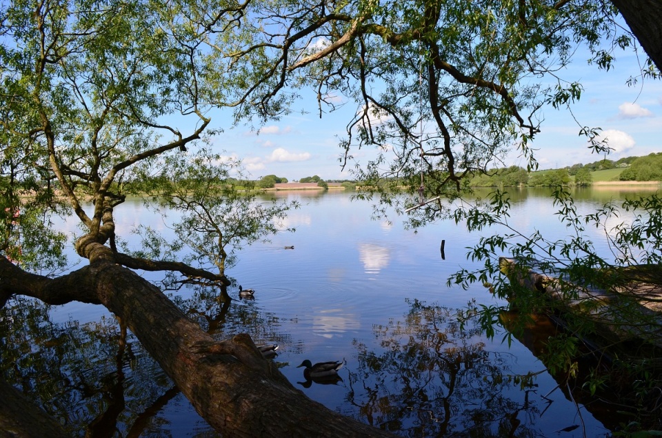Todays blip is of Pickmere... | Grapefruits | Blipfoto