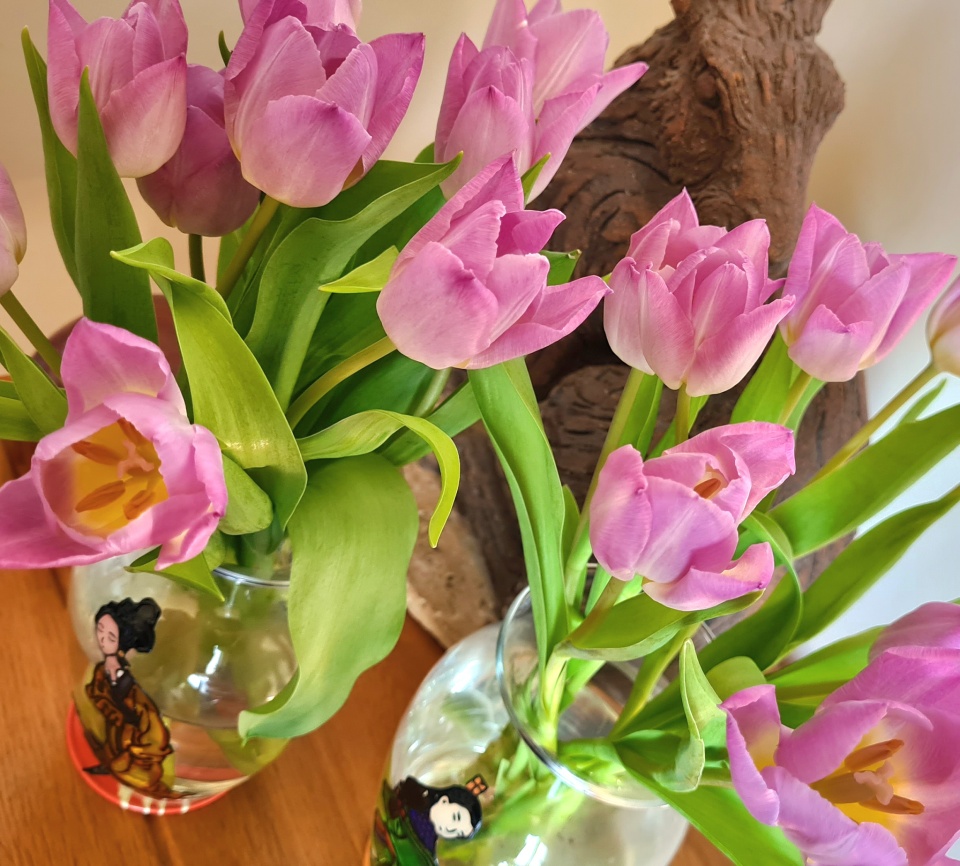 TULIPS | EllyJay | Blipfoto