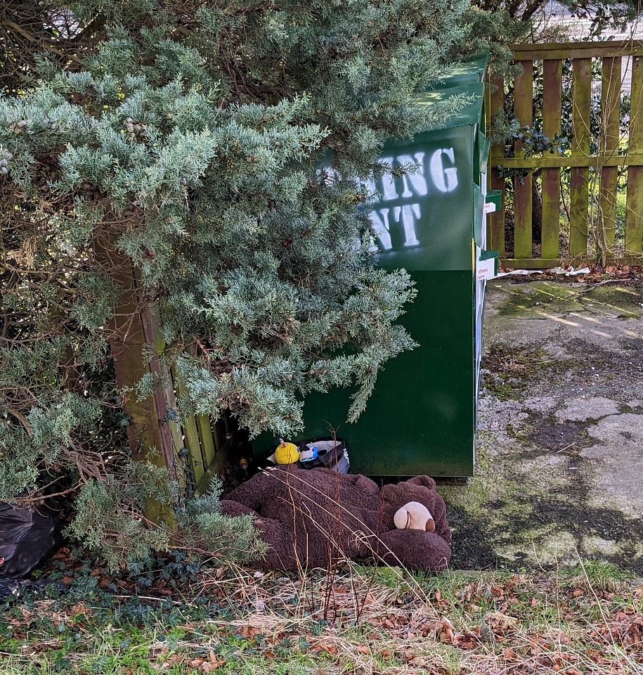 Snoozing Bear | thebear | Blipfoto