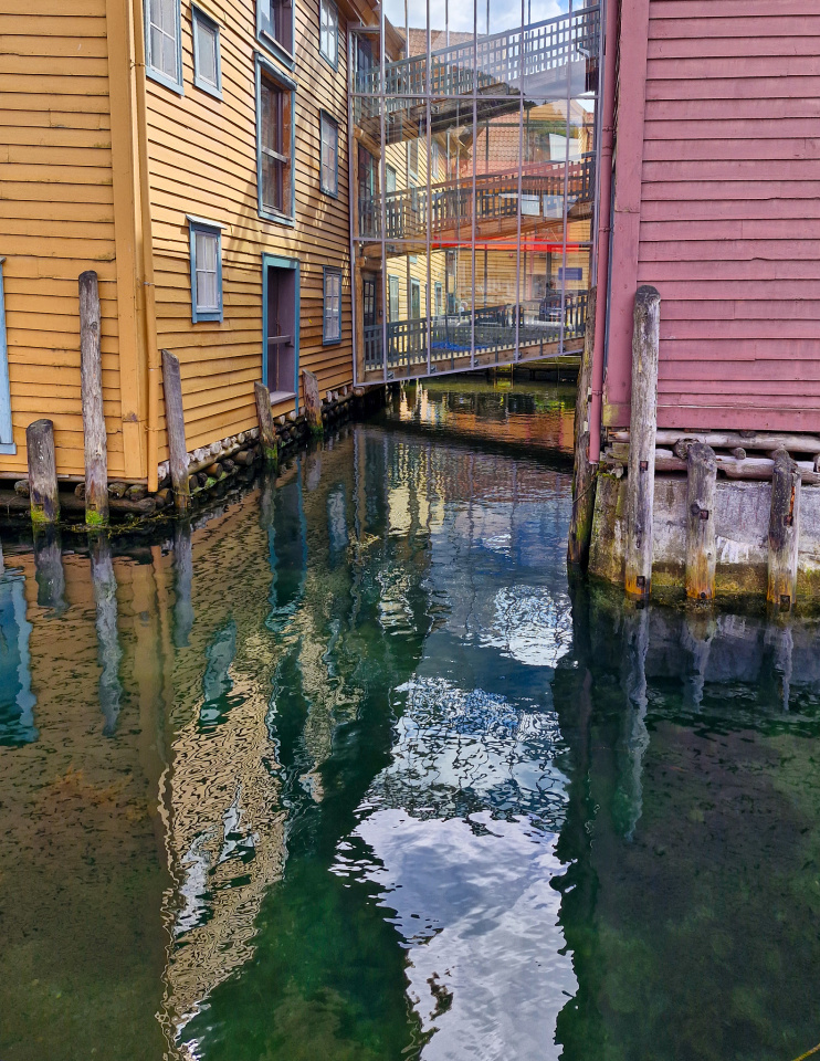 Norway Day 19. | Puffin | Blipfoto