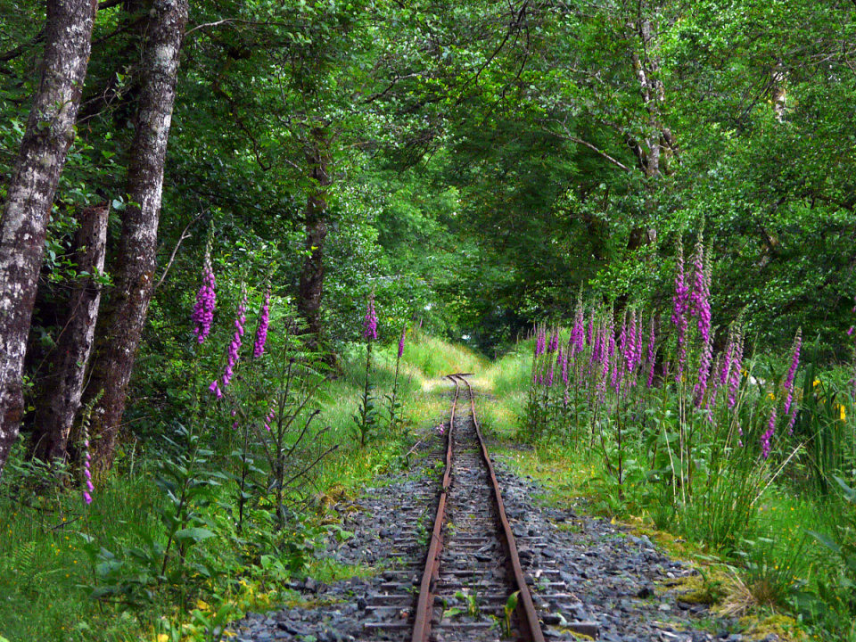 The Mull railway, out of use | squirk | Blipfoto