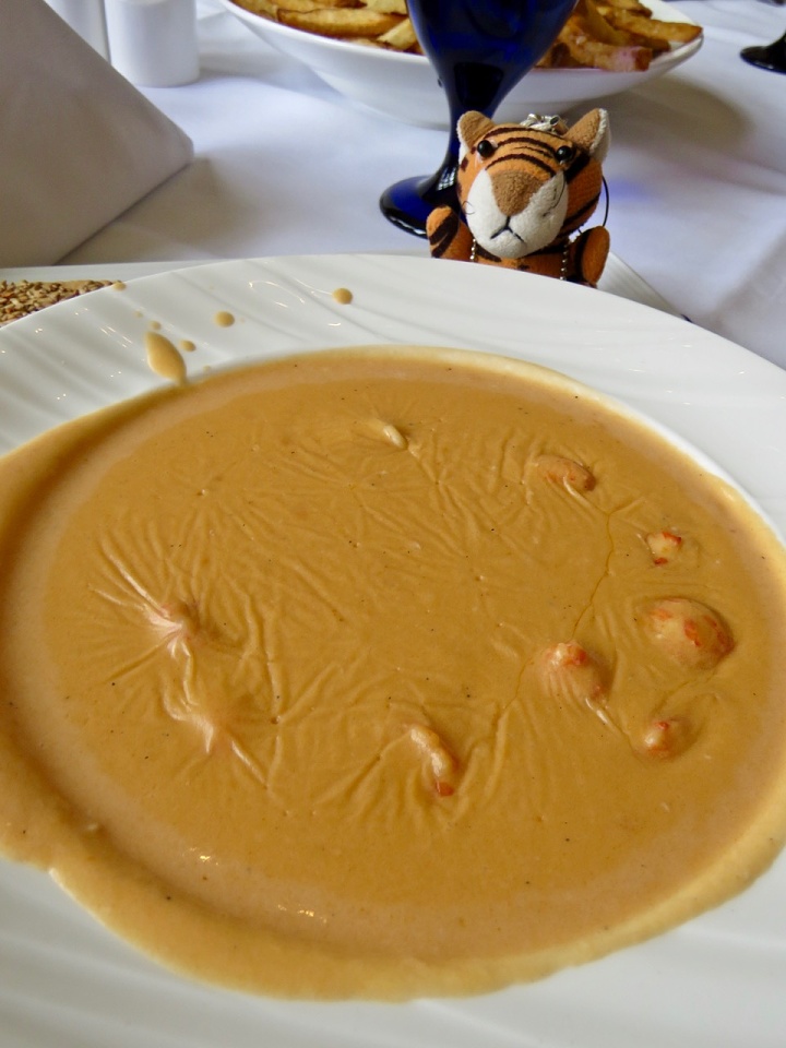 In Which the Tiger Takes in Some Bisque | GirlWithACamera | Blipfoto