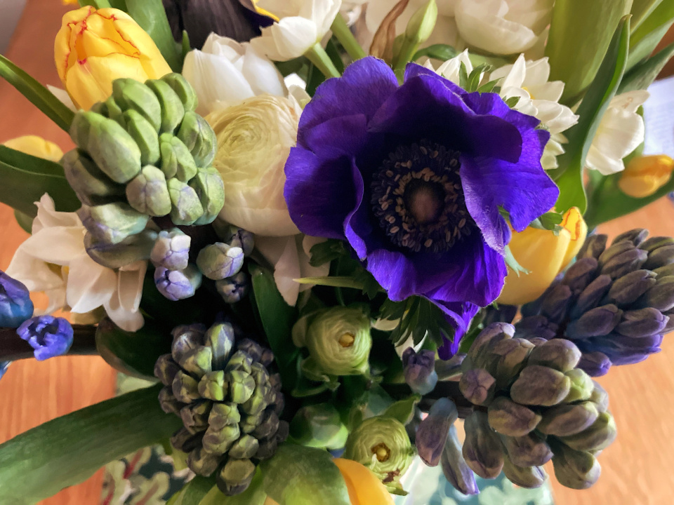 The Promise | mambo | Blipfoto