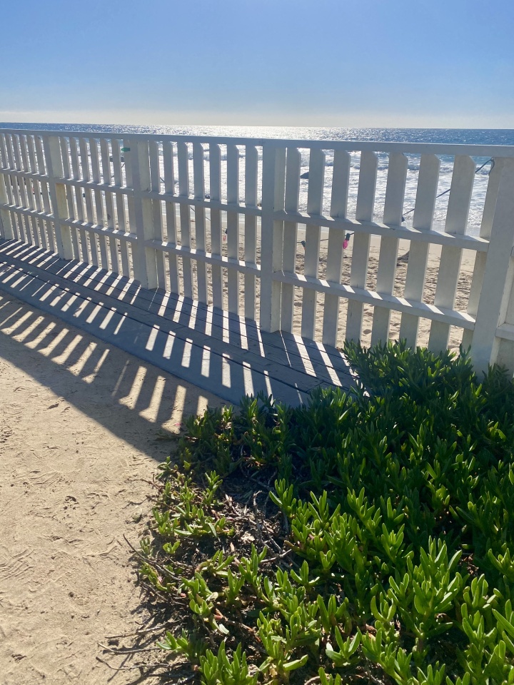 Midday Light | carolinav | Blipfoto