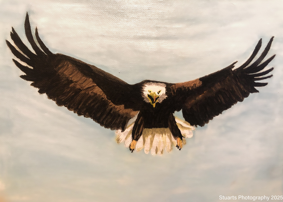 Bald eagle (acrylic painting) | Stuart46 | Blipfoto