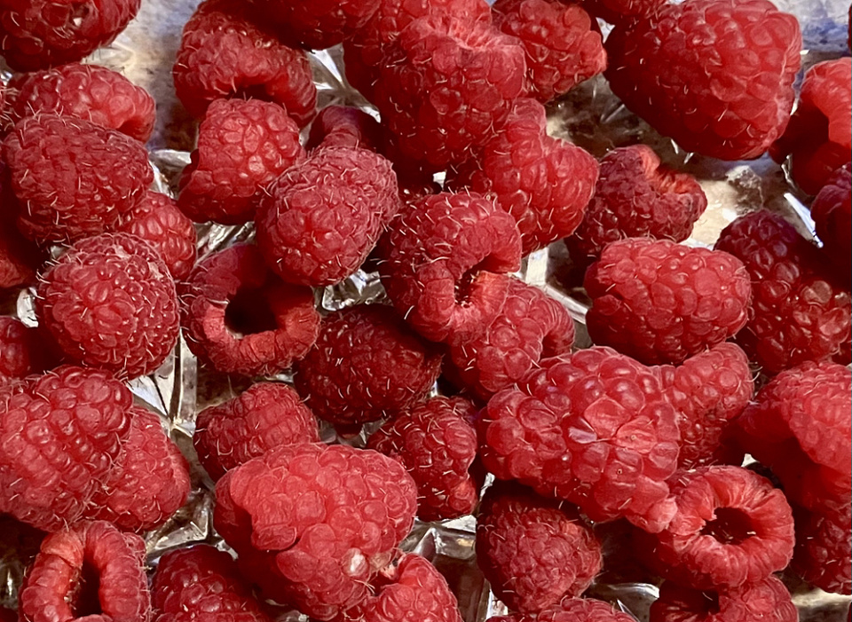 Raspberries | MaryElizaR | Blipfoto