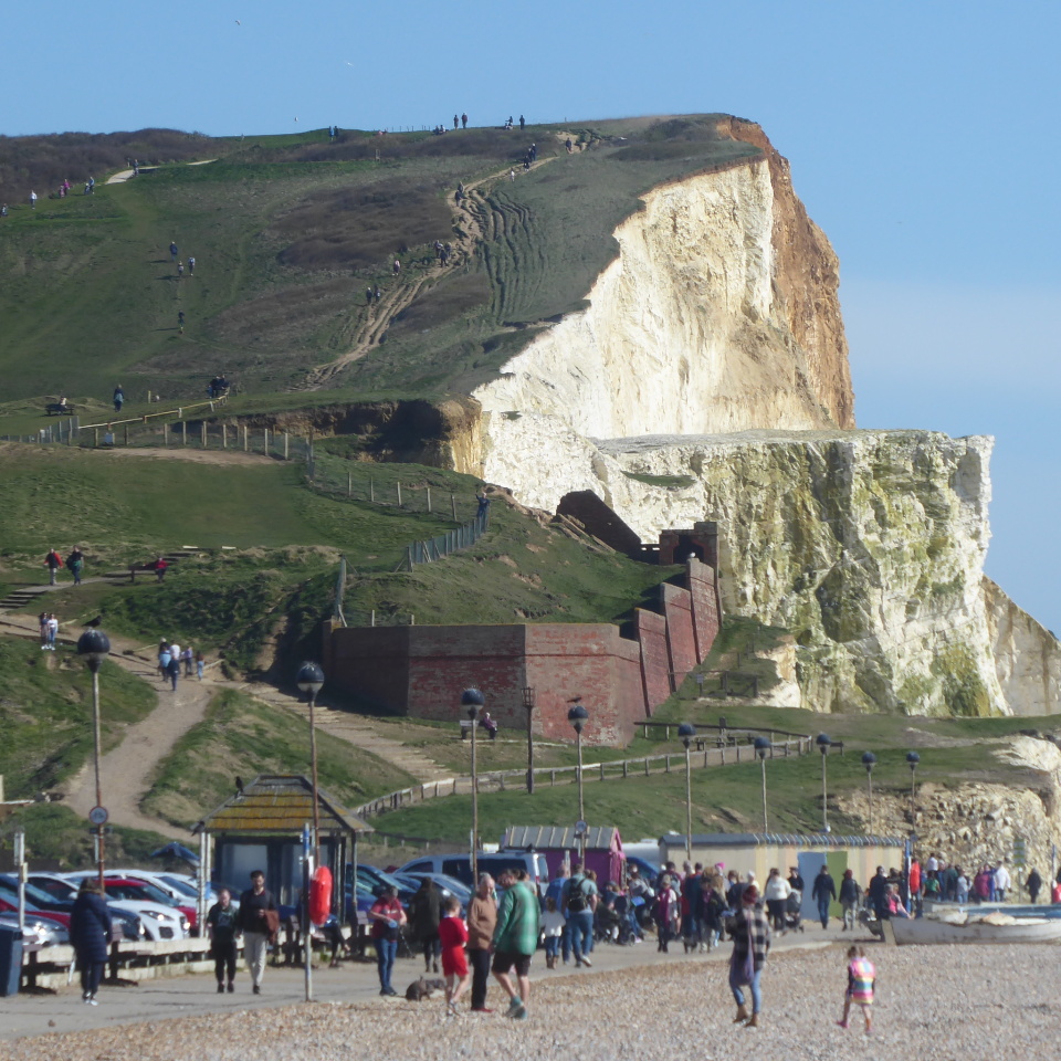 Busy day! | MH | Blipfoto