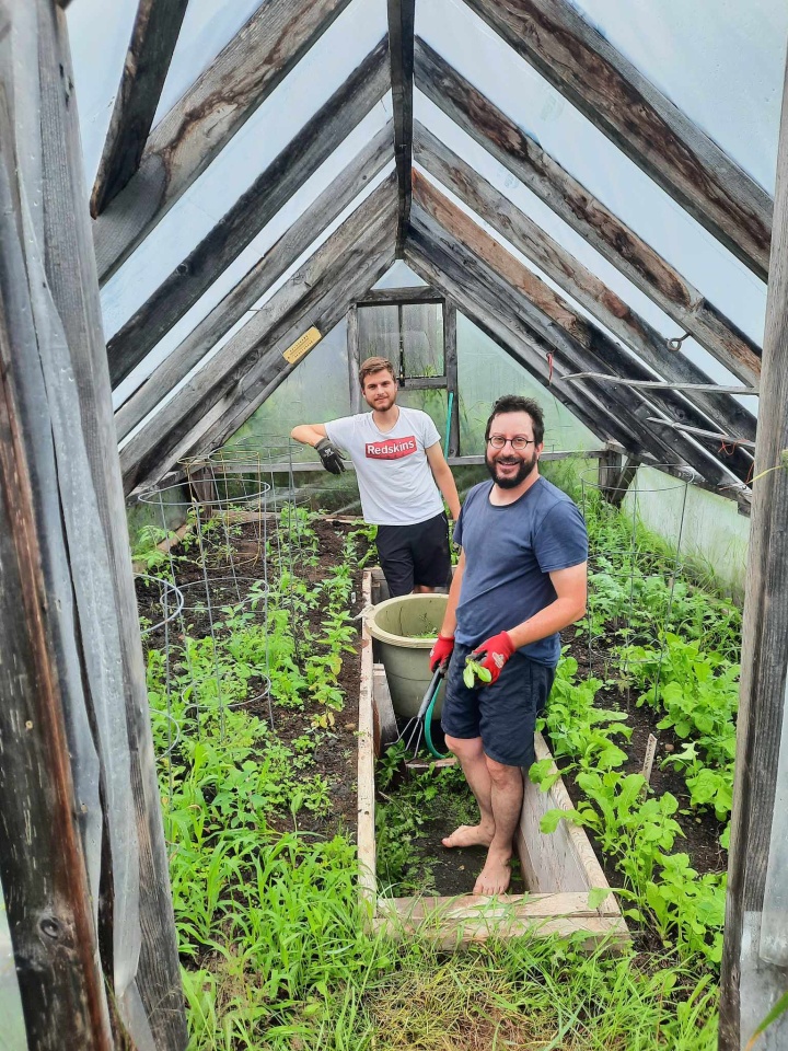 Our new wwoofer! | bighill | Blipfoto