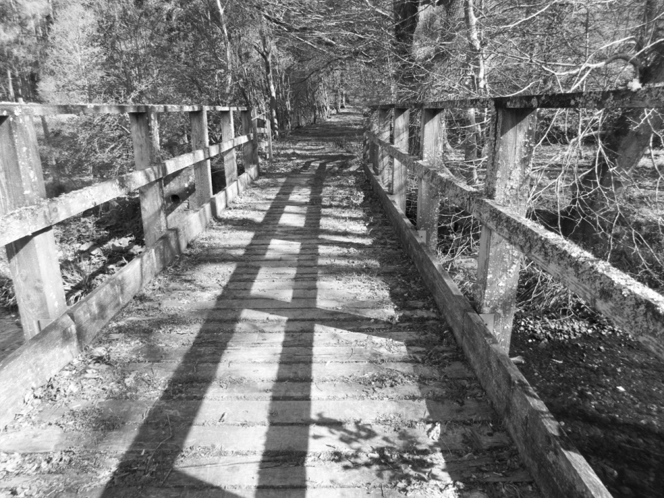 Shadows | CherryR | Blipfoto