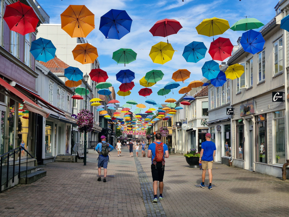 Norway - Day #2 | Puffin | Blipfoto