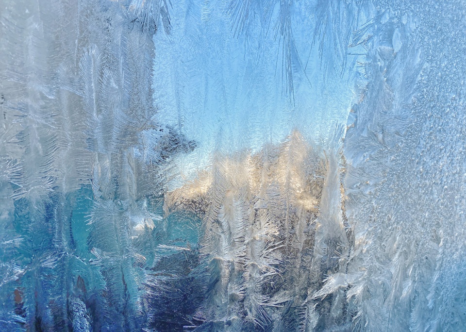 Ice Ferns. | ClydeBorn | Blipfoto