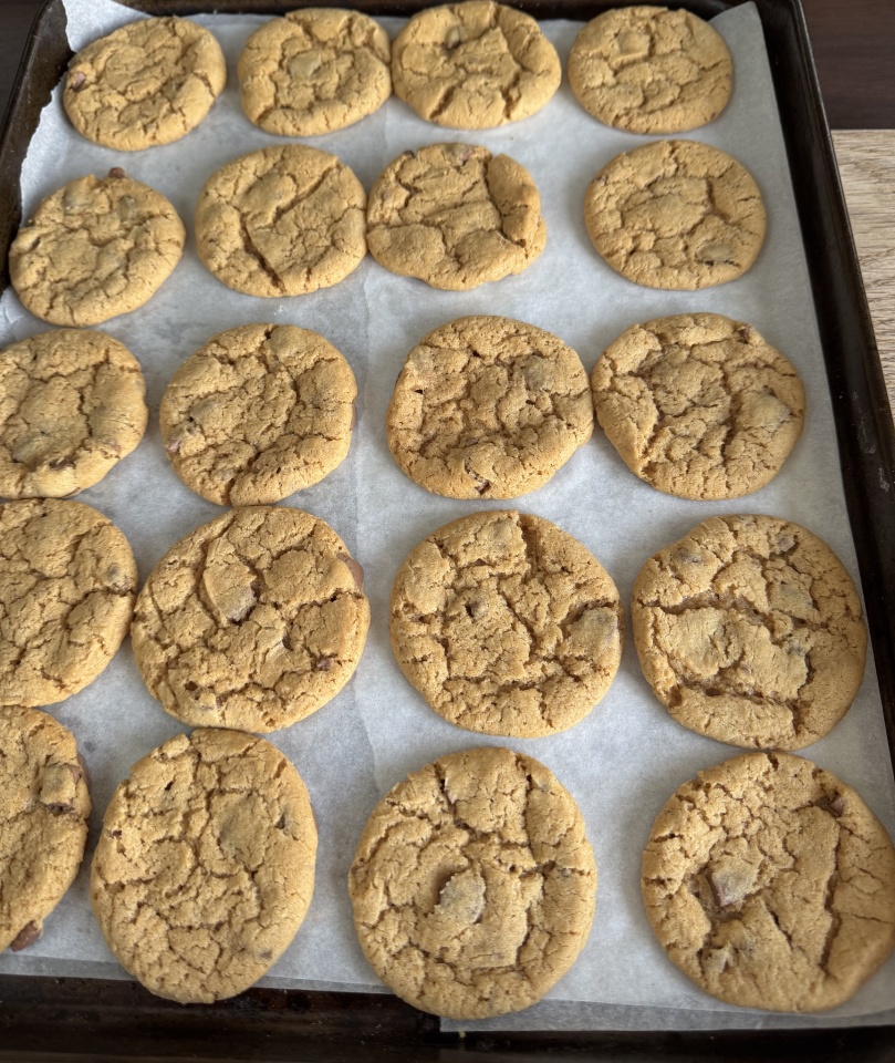 COOKIES | sunflower | Blipfoto