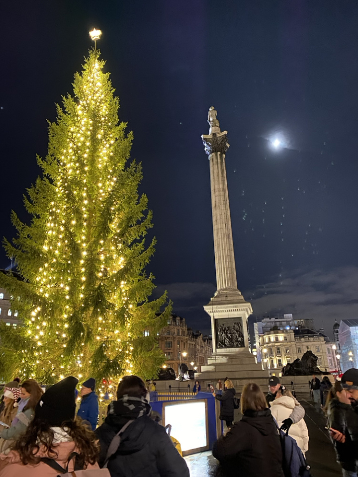 Norwegian Tree | Danksound | Blipfoto