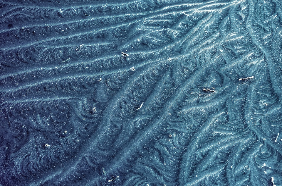 Icy | Ingeborg | Blipfoto