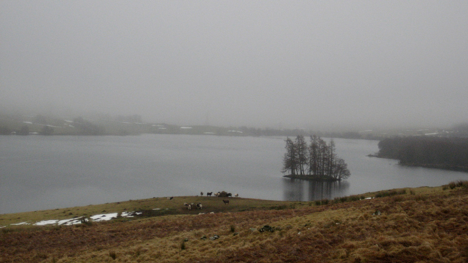 Driech Day in Glen Quaich | longshanks | Blipfoto