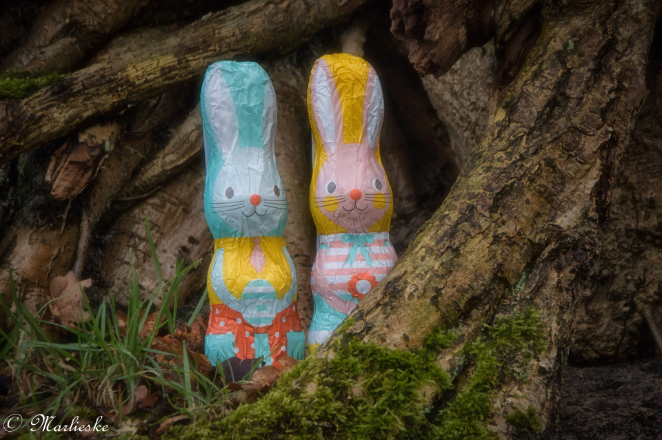 What's Rustling Through the Bushes... | Marlieske | Blipfoto