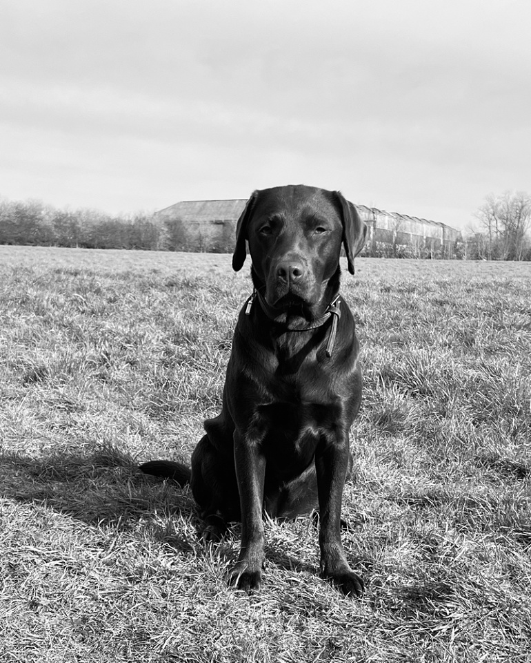 Let me go! | Romay | Blipfoto