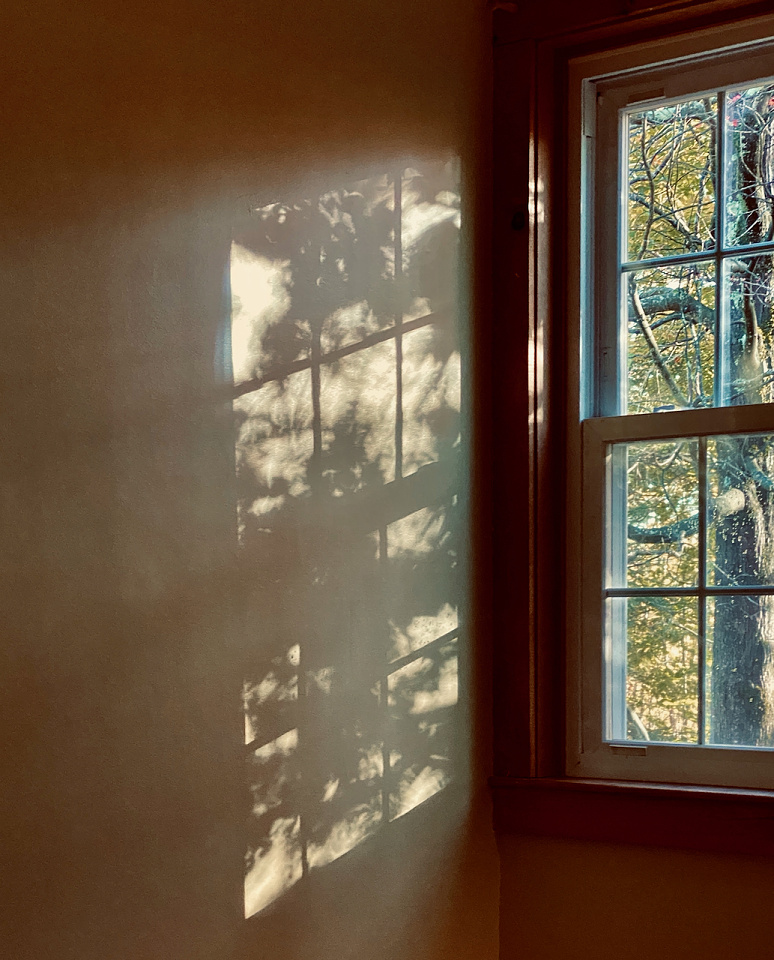 Contemplation | Doingok | Blipfoto