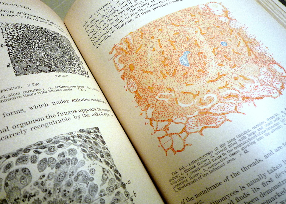 crap time reading | dogwoodpuddle | Blipfoto