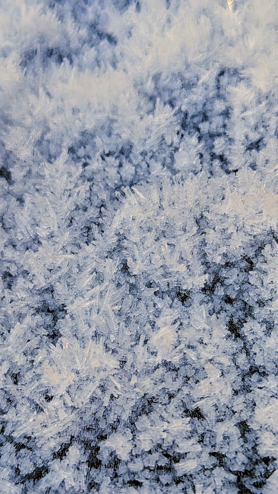 Simply snow | Yorkshirebred | Blipfoto