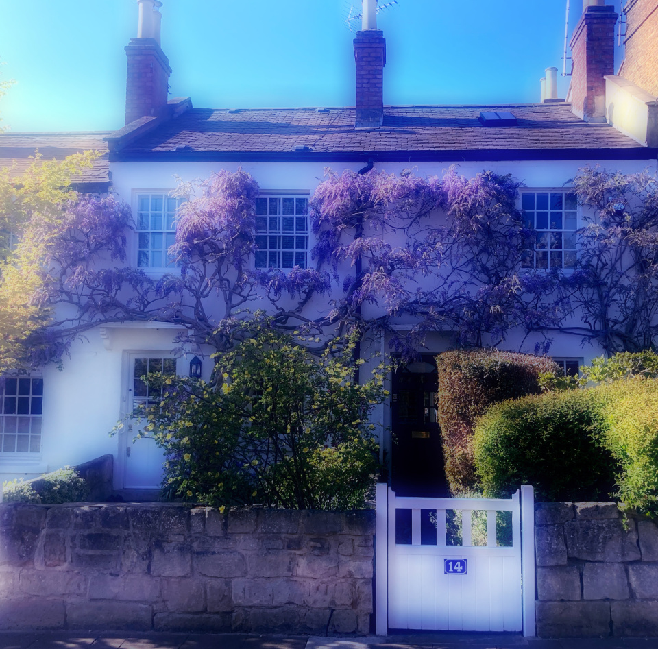 Spring | mambo | Blipfoto