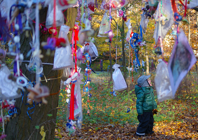 The Dummy Tree | RtCph | Blipfoto