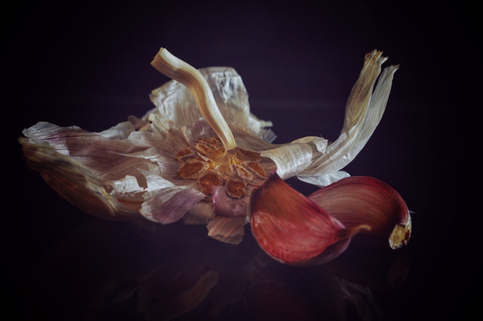 Garlic | Ingeborg | Blipfoto