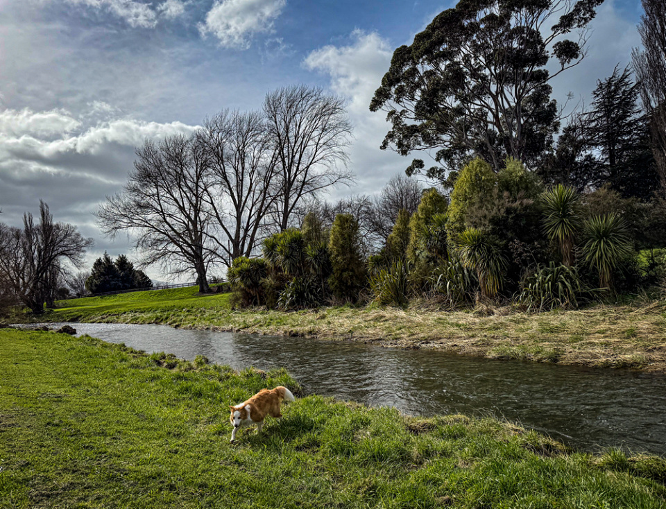 At the Taylor River today….. | Lizimagiz | Blipfoto