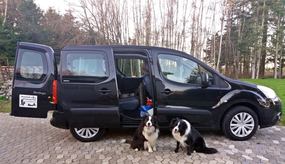 Berlingo Day | TheHazylandBoys | Blipfoto