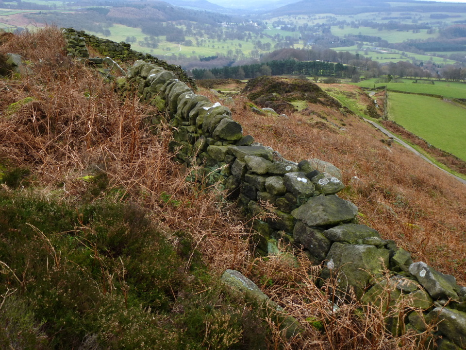 Gritstone Wall at the Edge of the Moor | MatlockGraham | Blipfoto