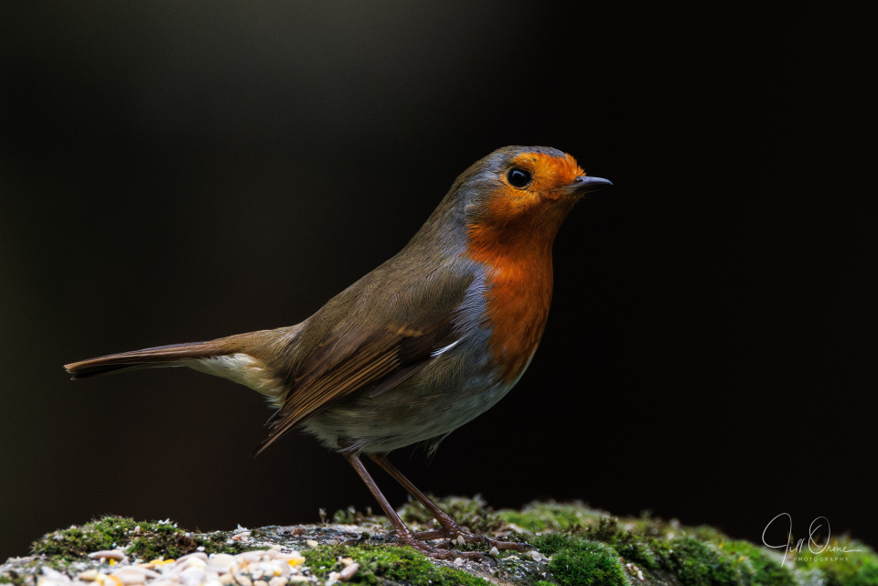 Mine!! | JDO | Blipfoto