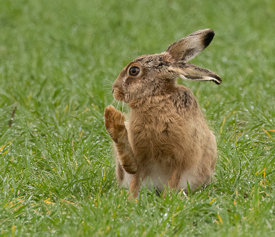 High Five | Hillyblips | Blipfoto