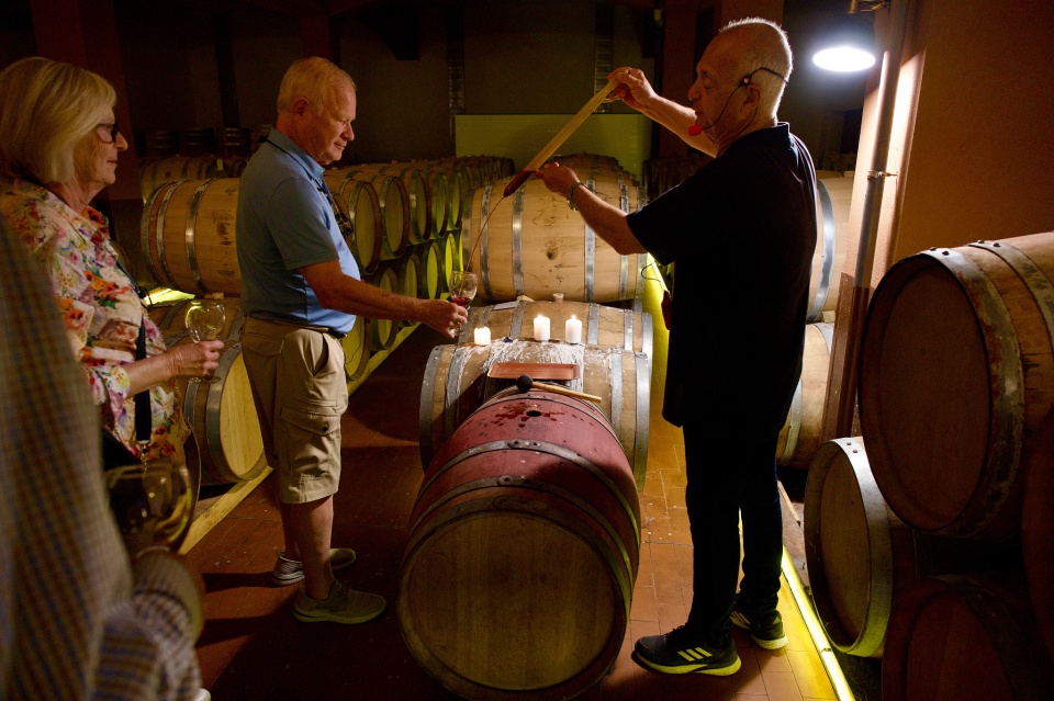 Early wine tasting | AndrewNZ | Blipfoto