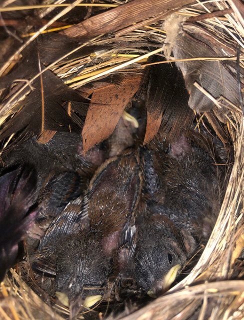 Life | dbifulco | Blipfoto