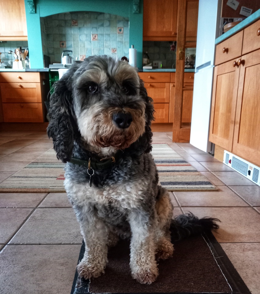 Goodbye, Mindi | Freuchie | Blipfoto