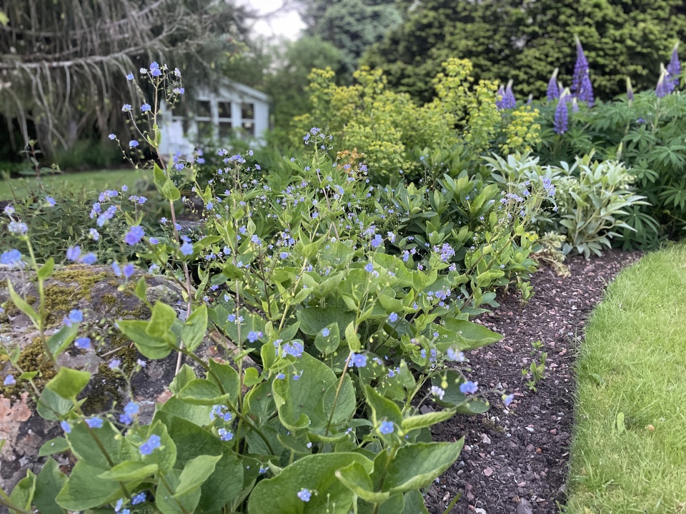 Symphony in blue... | Damnonii | Blipfoto