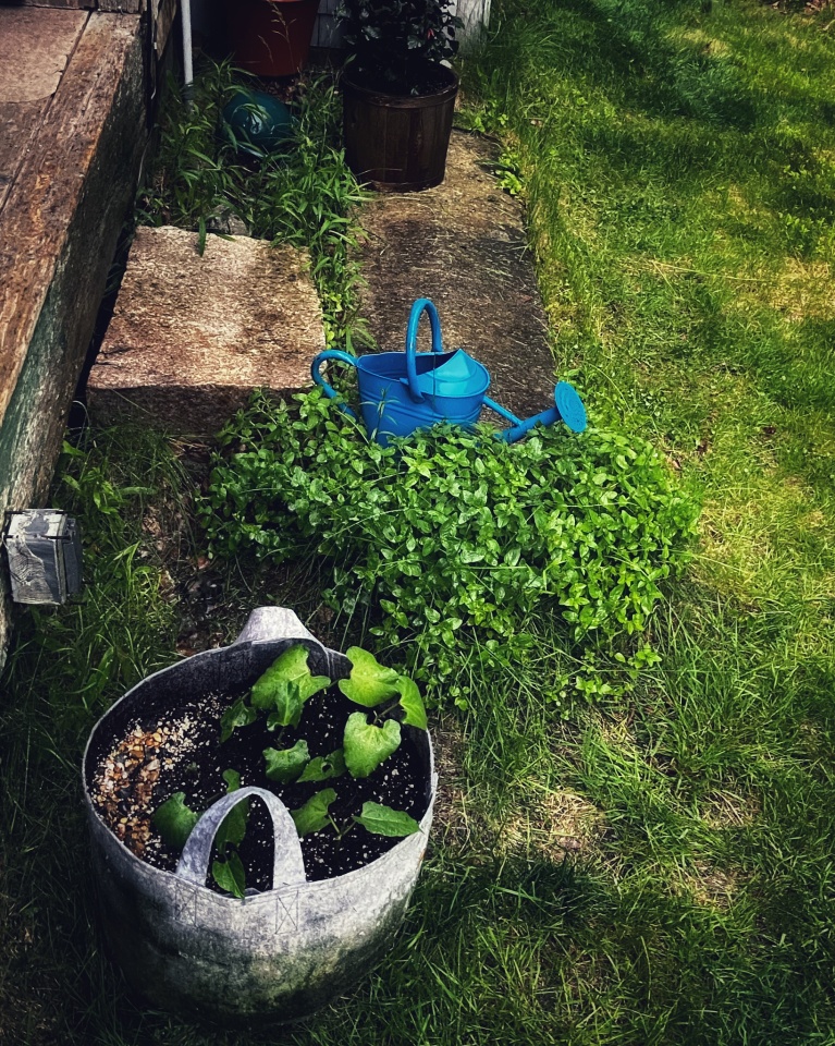 Friday Evening - Cue the Rain | madowoi | Blipfoto