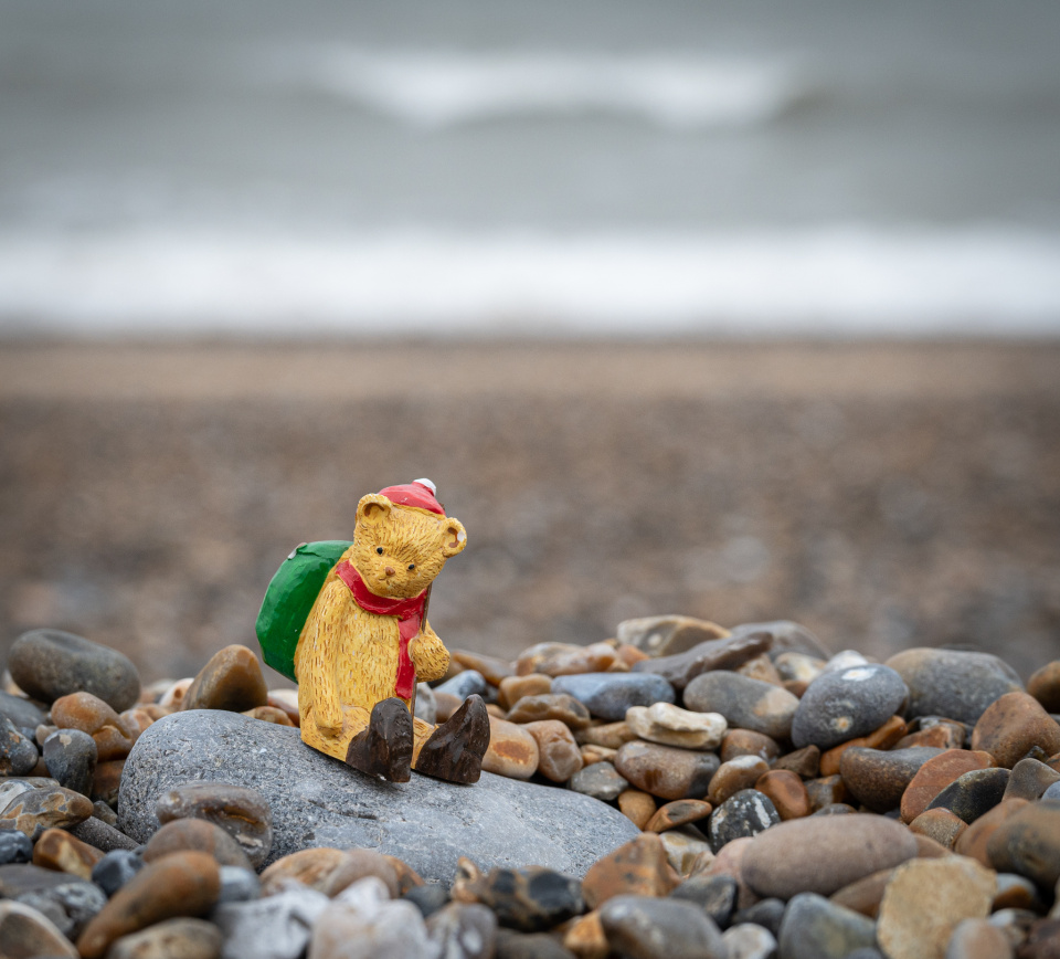 Beach Bear | GracieG | Blipfoto