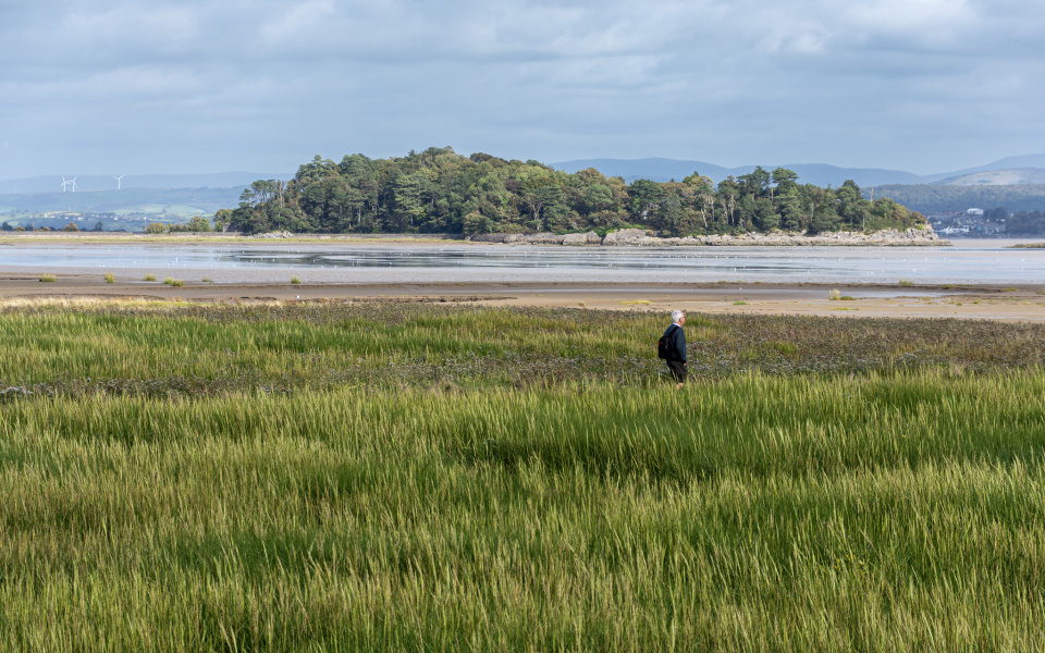 HOLME ISLAND | flavia13 | Blipfoto