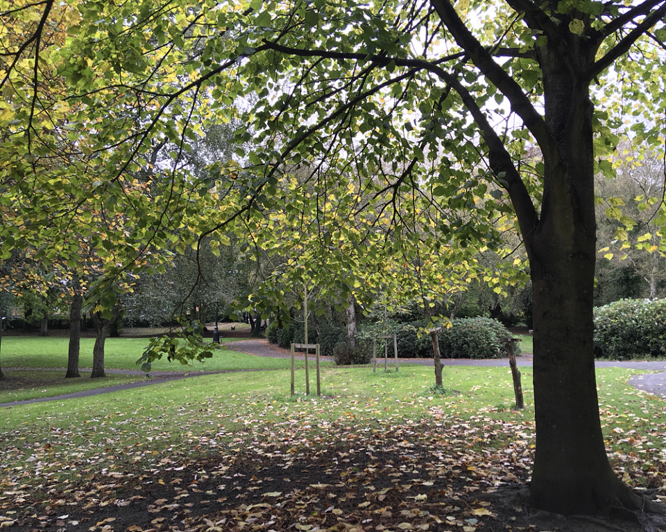 Parr Fold Park | FionaRobinson | Blipfoto